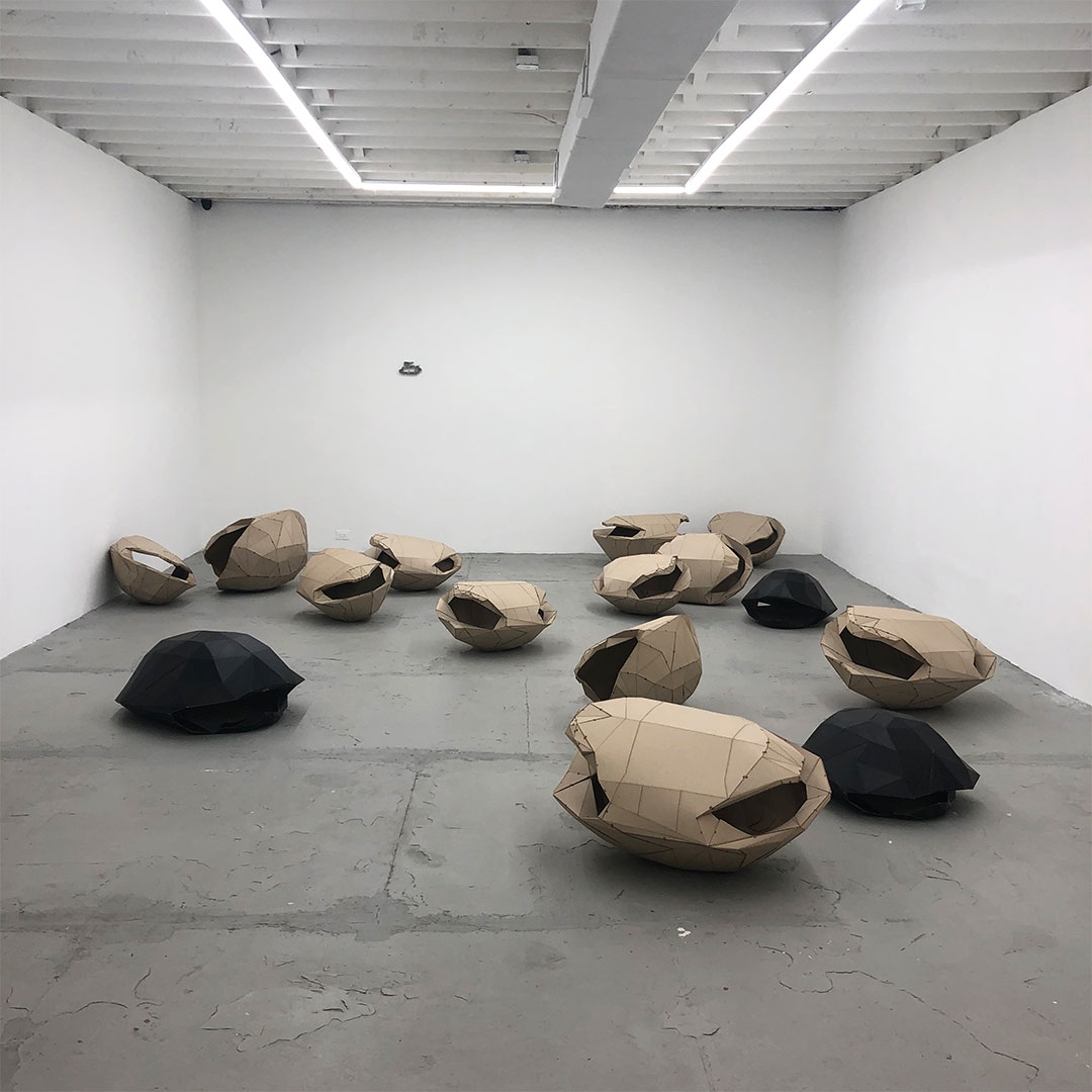 Manuela Ribadeneira Turtles Cardboard – Dimensions Variable