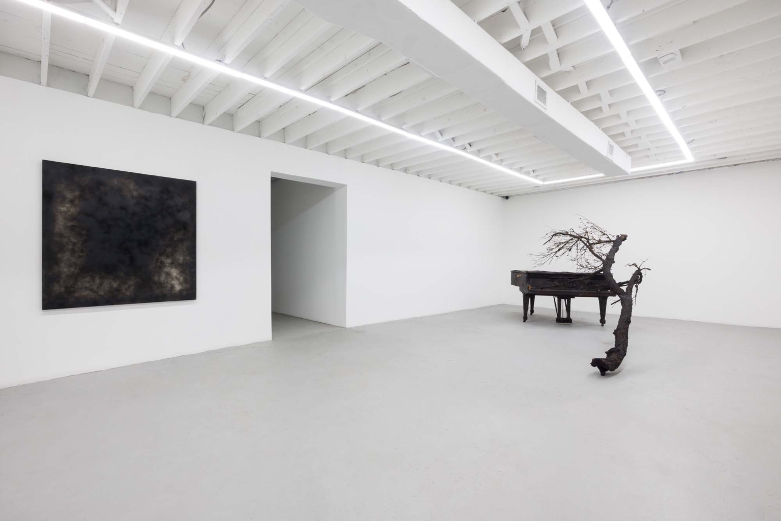 Do Re Do—Alexis Martínez – Dimensions Variable