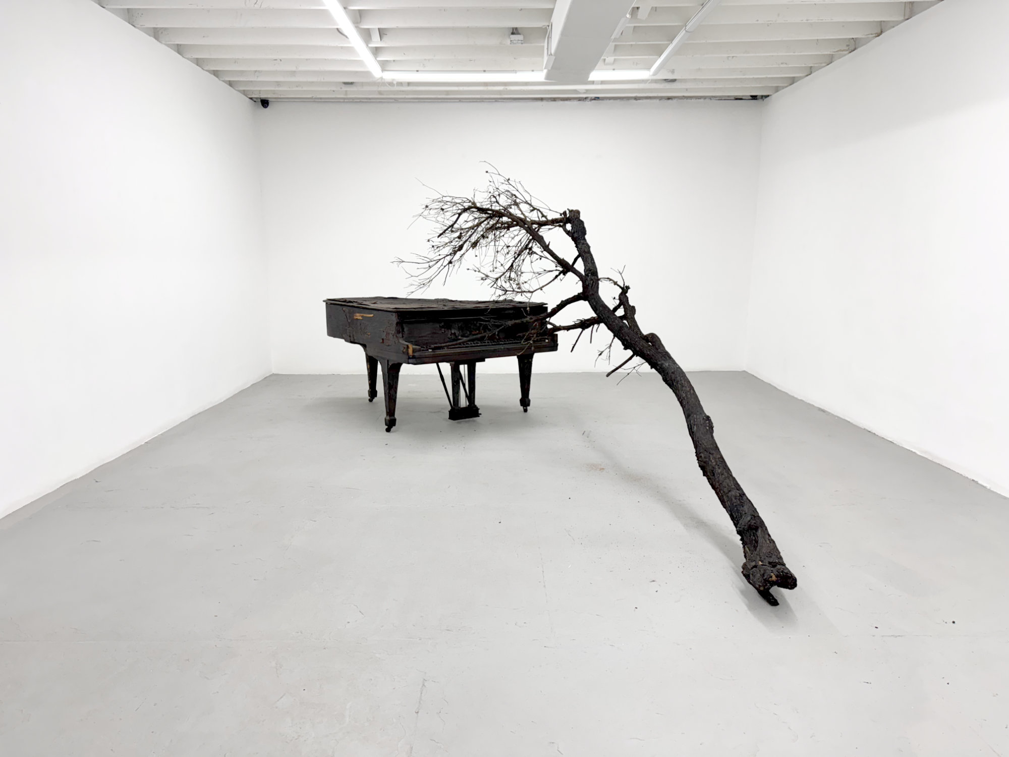 Alexis Martínez—Do Re Do – Dimensions Variable